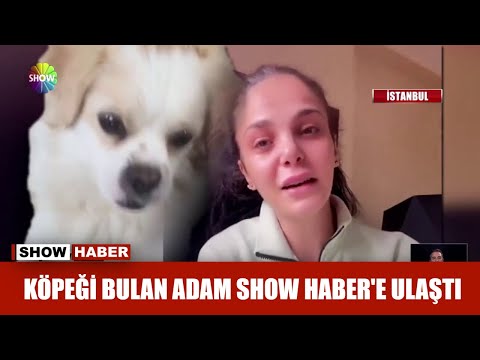 Köpeği bulan adam Show Haber'e ulaştı
