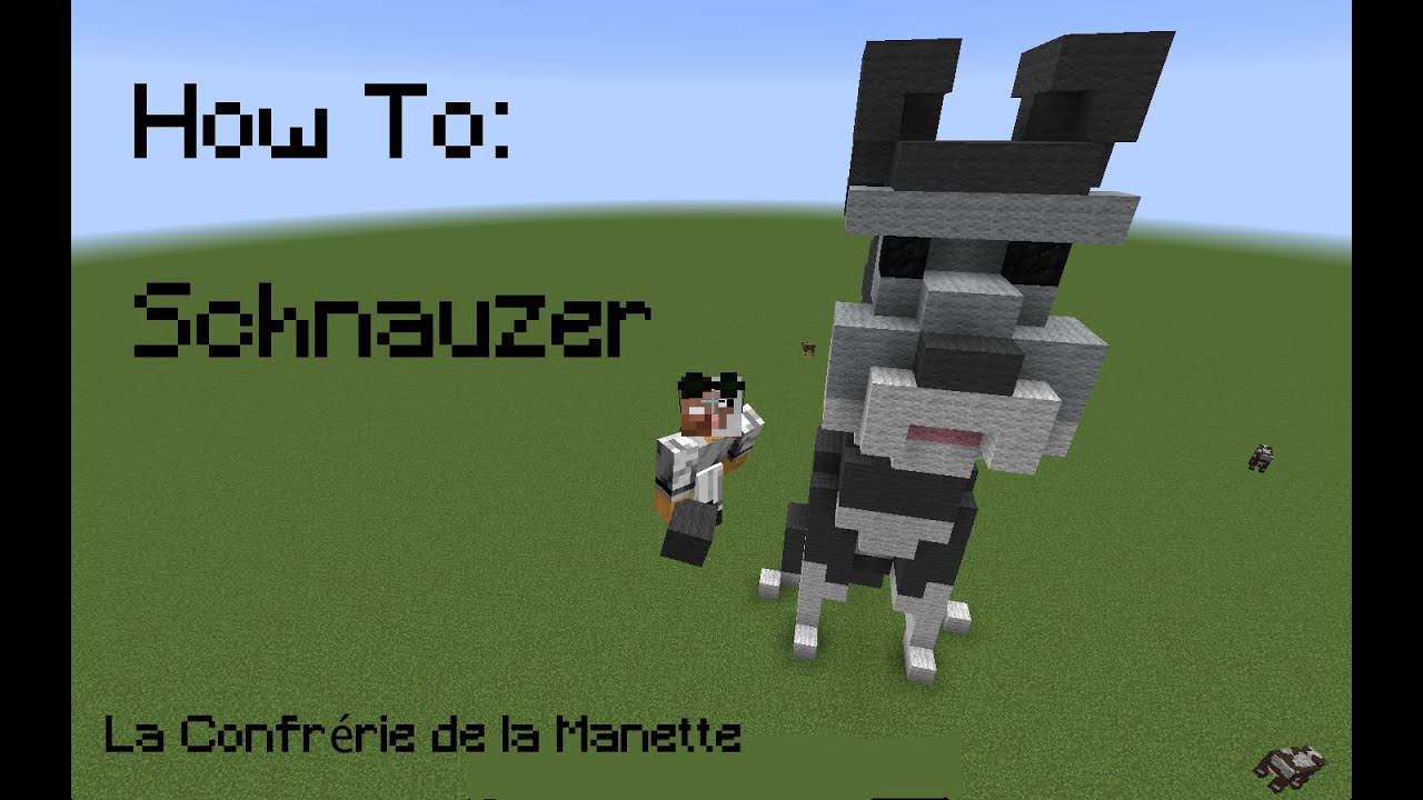 MINECRAFT: How to? Schnauzer - YouTube