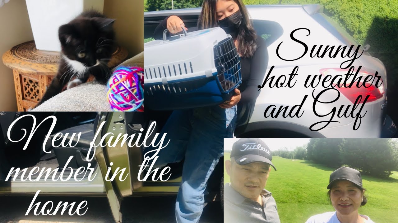 Hectic Week In My Life | Excited For Our New Family Member | Enjoying ...