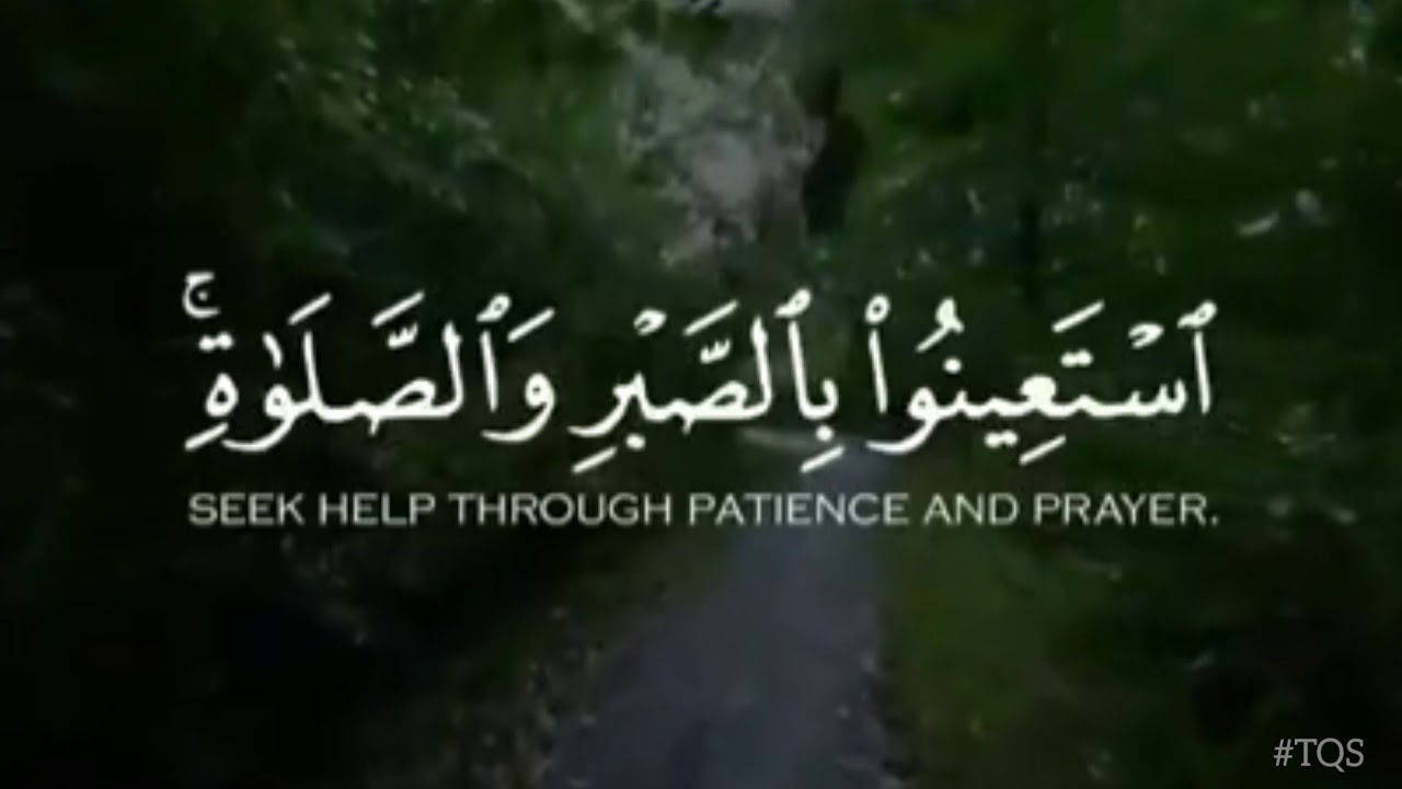 Beautiful Ayah Recited by Famous Shaikh | WhatsApp Status - YouTube