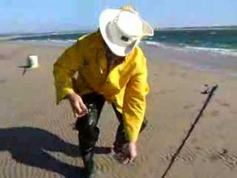 Fishing Snapper in Shallow Inlet - YouTube