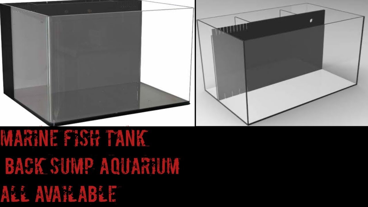 Imported Marina aquarium and and for back sump. - YouTube
