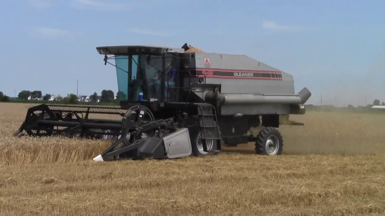 Gleaner R42 in Wheat - YouTube