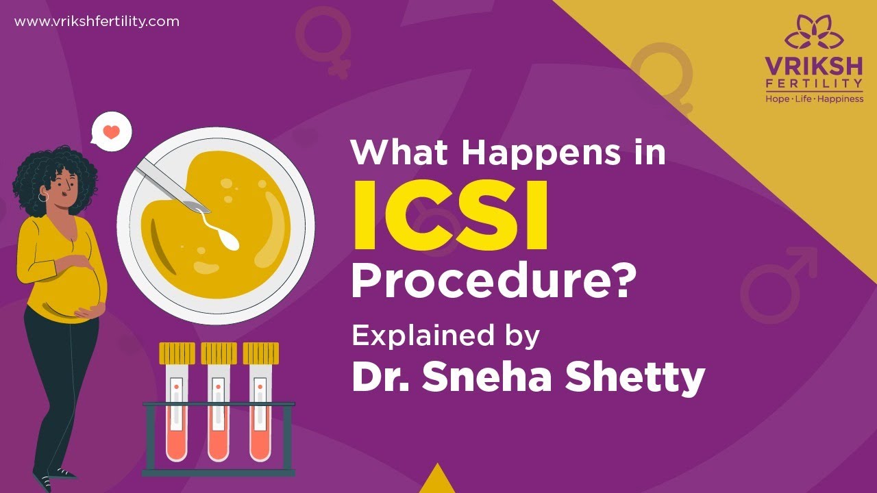 ICSI Treatment Procedure Explained by Dr. Sneha Shetty | Vriksh ...