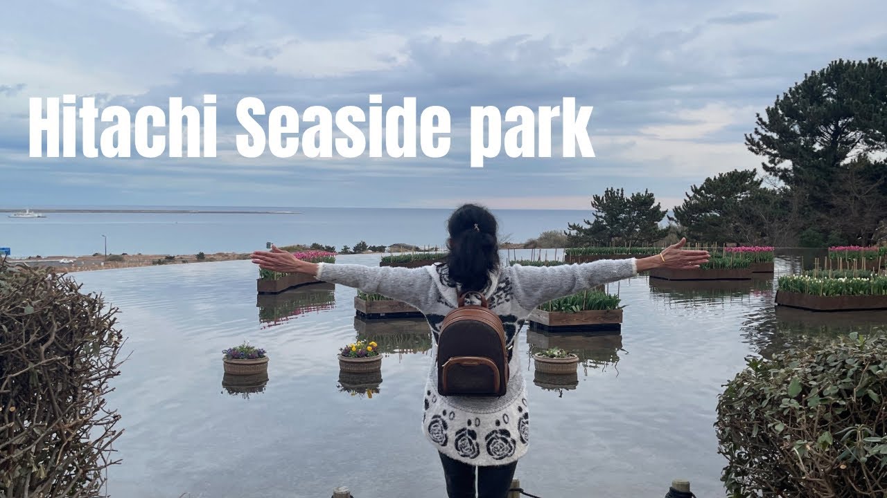 Exploring Hitachi Seaside Park in Winter | Tulips & Sea View - YouTube
