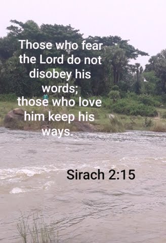 Bible quotes | Sirach 2:15 | Bible reading | God is great - YouTube