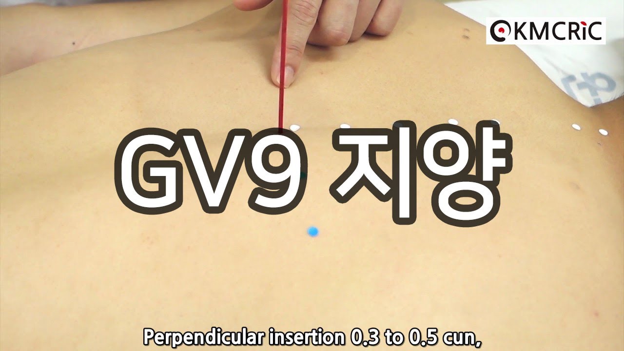 GV9 지양 至陽 Zhiyang (Eng sub) - KMCRIC WHO Standard acupoint DB - YouTube