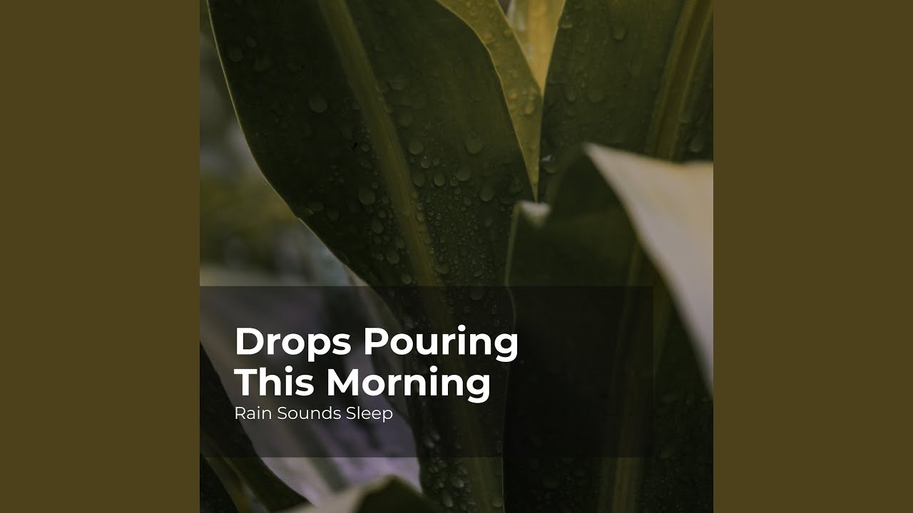 Drowse in Downpour - YouTube