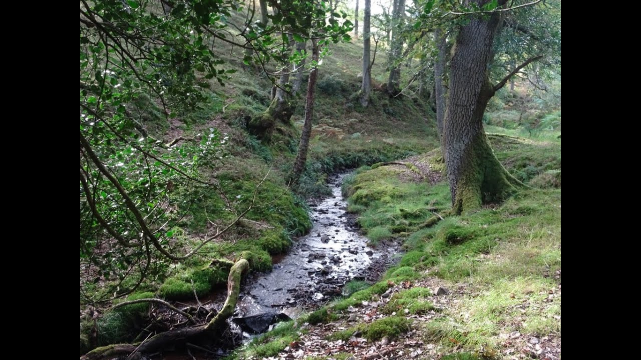 Bicknoller Circular Hike, Part X, Hodders Combe, Oct 9th 2021 - YouTube