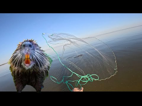 Cast-Netting Giant OCEAN BEAVER | Full Video - YouTube