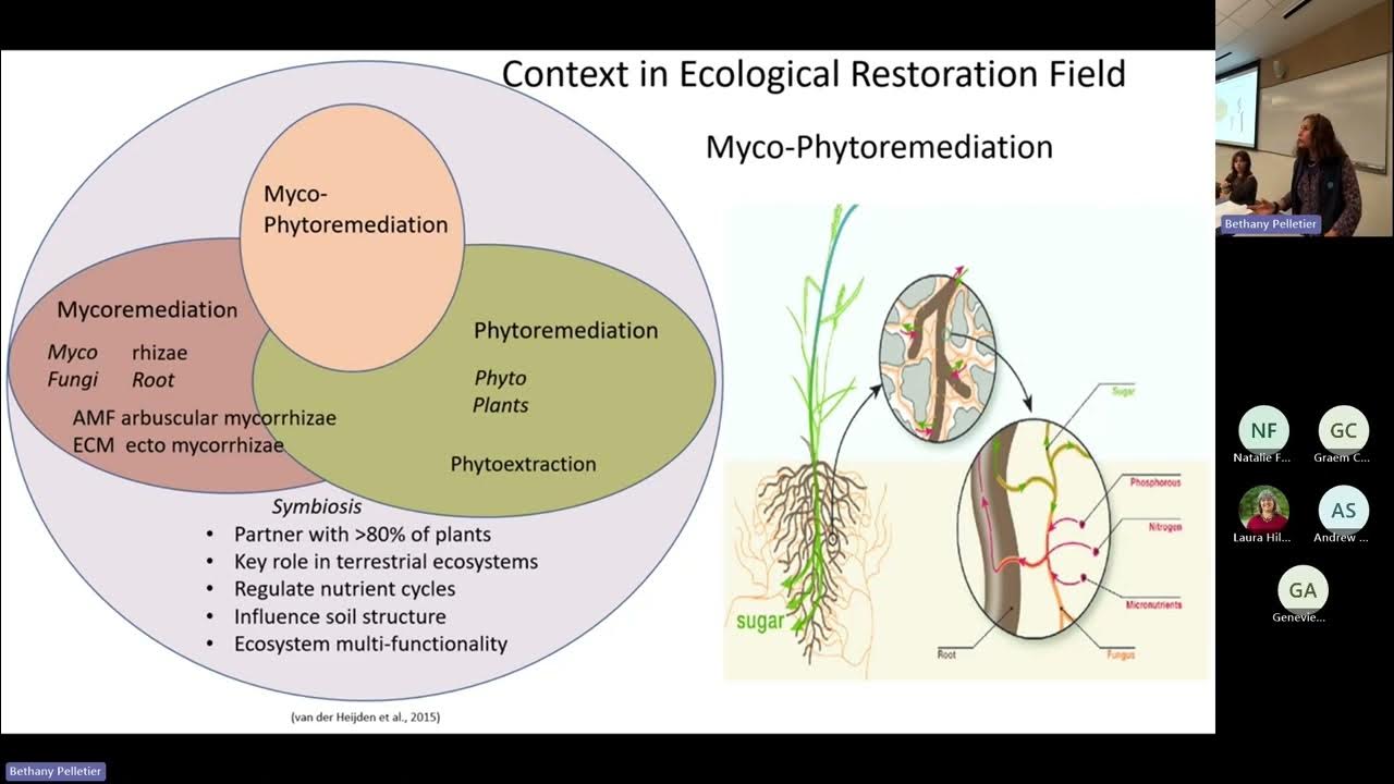 Myco-Phytoremediation in Riparian Forest Buffers: Restoration, Education, Training ...