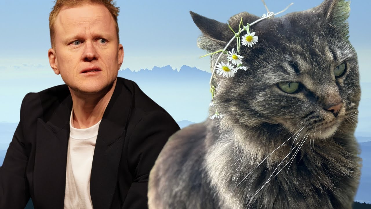 Sanningen om min katt - YouTube