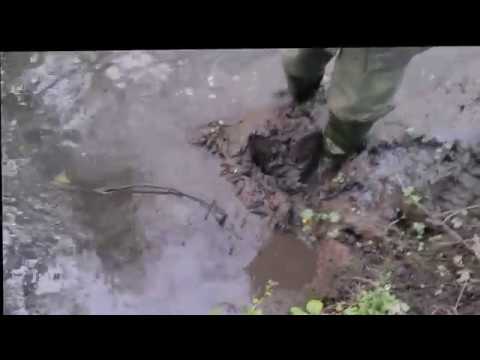 190417195 british waders strolling along a small stream - YouTube