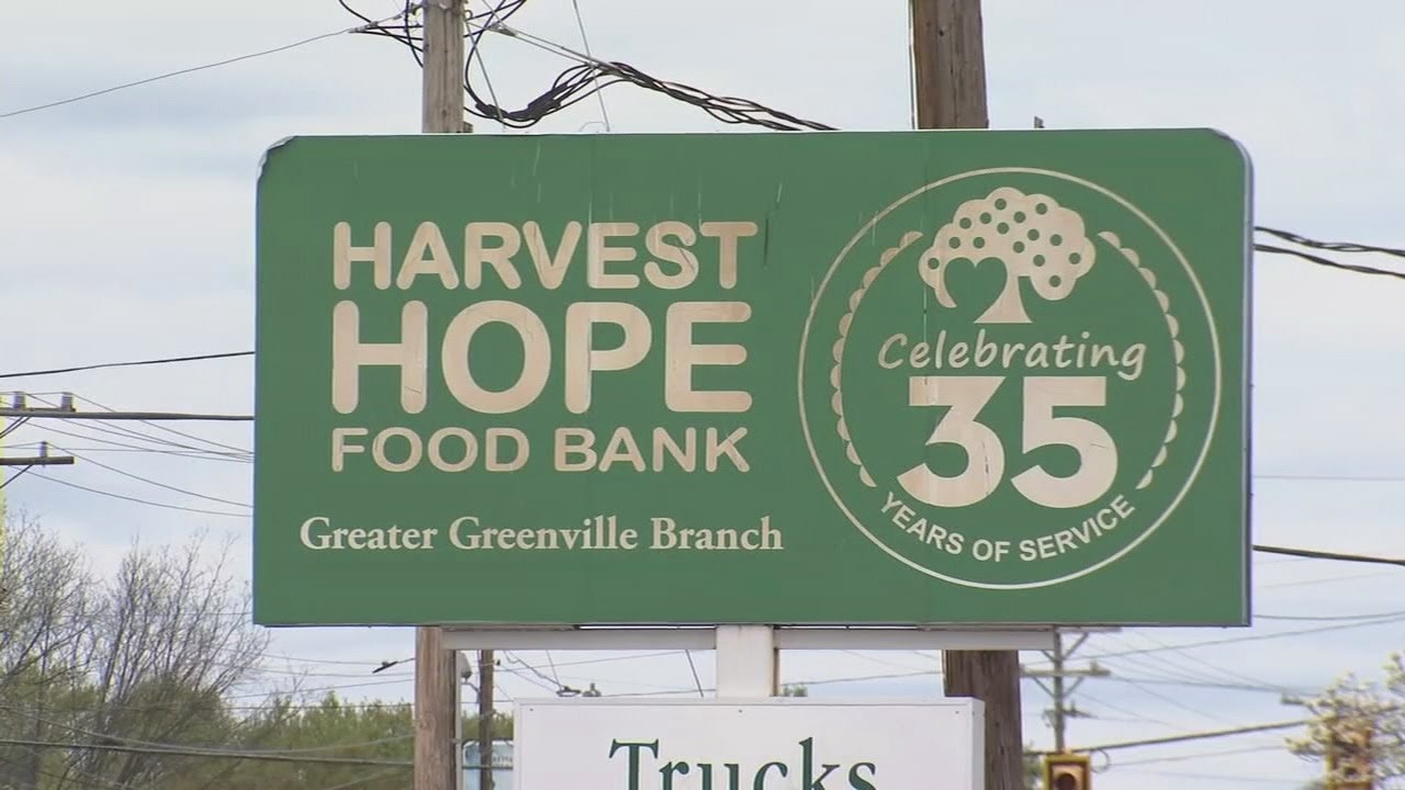 Harvest Hope Food Bank collects food for service industry workers - YouTube