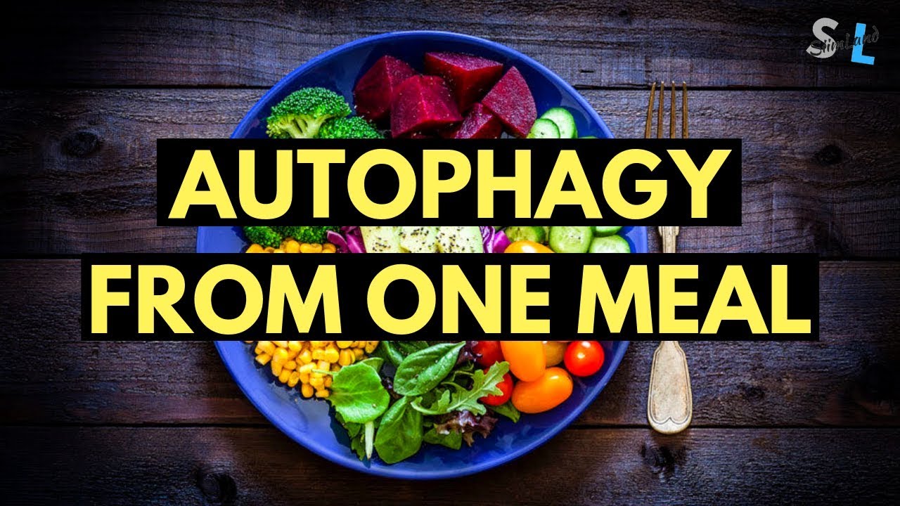 Do You Get Autophagy Eating One Meal a Day - OMAD and Autophagy - YouTube