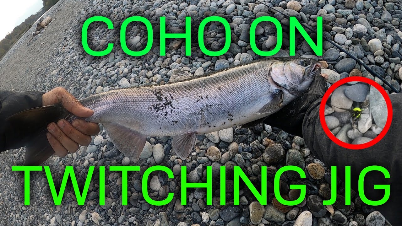 Twitching Jig for Coho Salmon at Lower Vedder River - YouTube