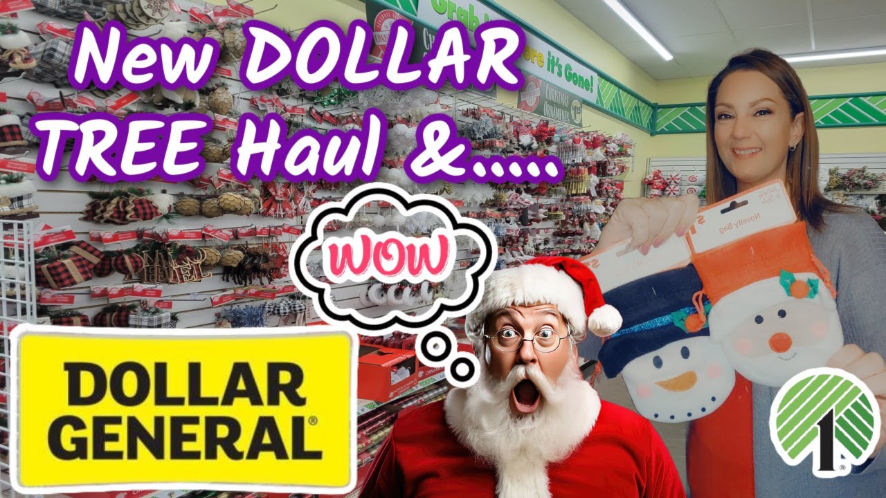 DOLLAR TREE & DOLLAR GENERAL Haul!! 2 GREAT Stores & FINDS! - YouTube