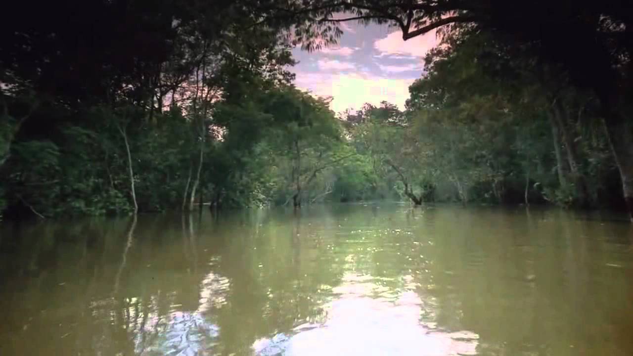 Amos Moses (HD) - YouTube