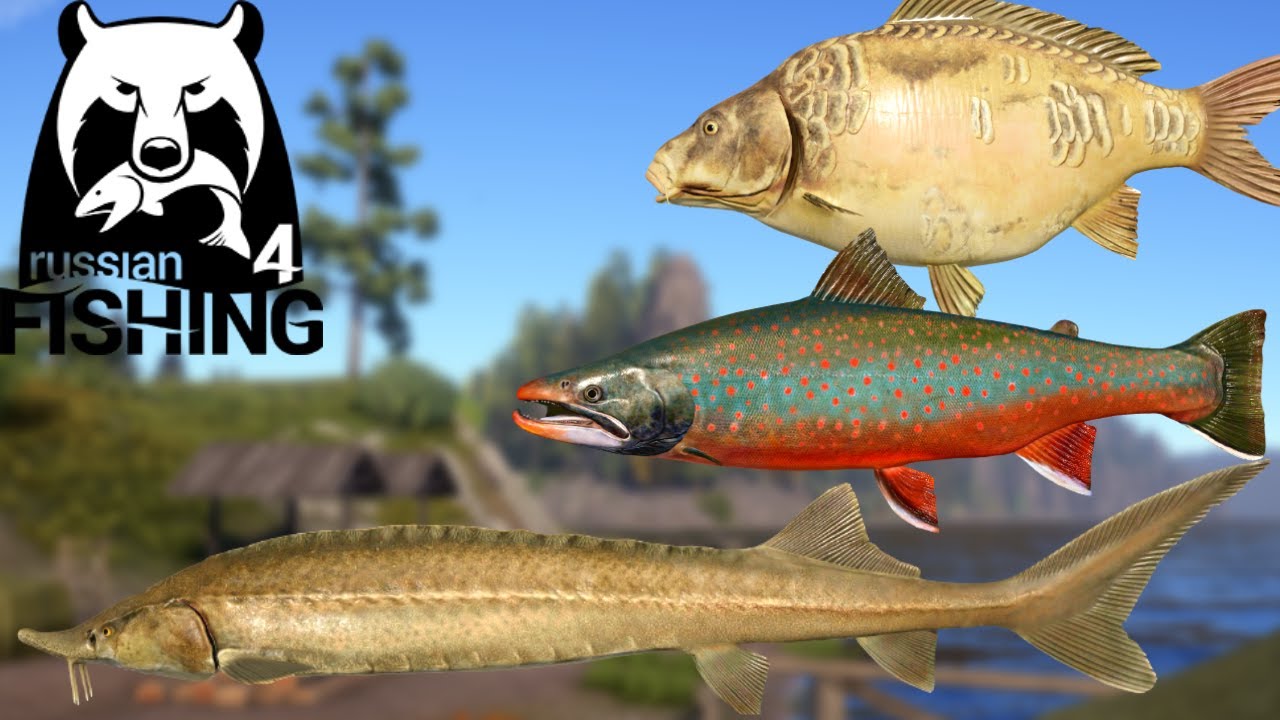 E. Sturg @ Tung + Yama + Buffalo @tuba | 2,000 SUBS WOO!!!! | Hangin ...
