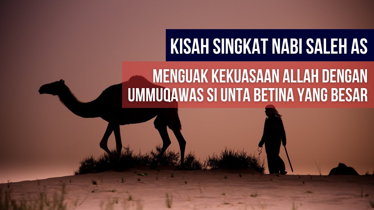 KISAH NABI SALEH AS DAN MUKJIZAT UMMUQAWAS YANG DIBERIKAN ALLAH SWT ...