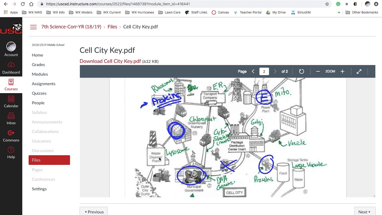 Cell City Project Explained - YouTube