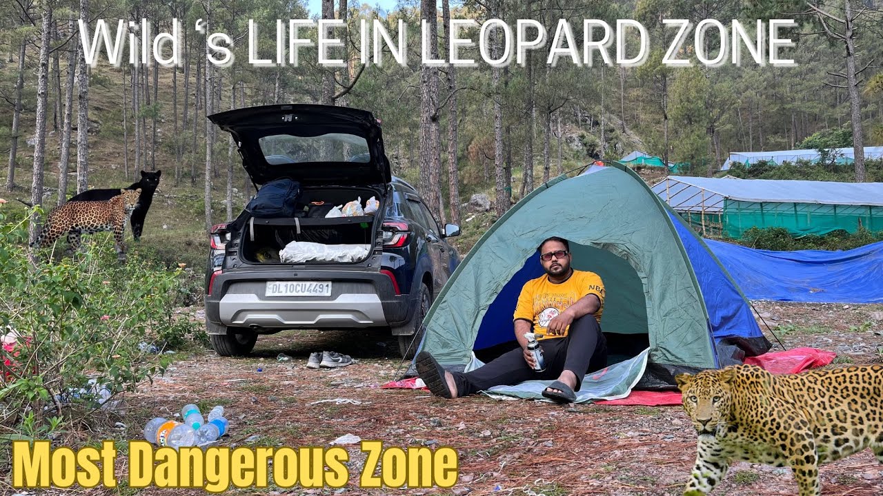 ALERT || YAHA KU LAGAYA Camp😟||Leopard Zone|| WILD LIFE CAMPING|| Nainital Dairy ️ - YouTube