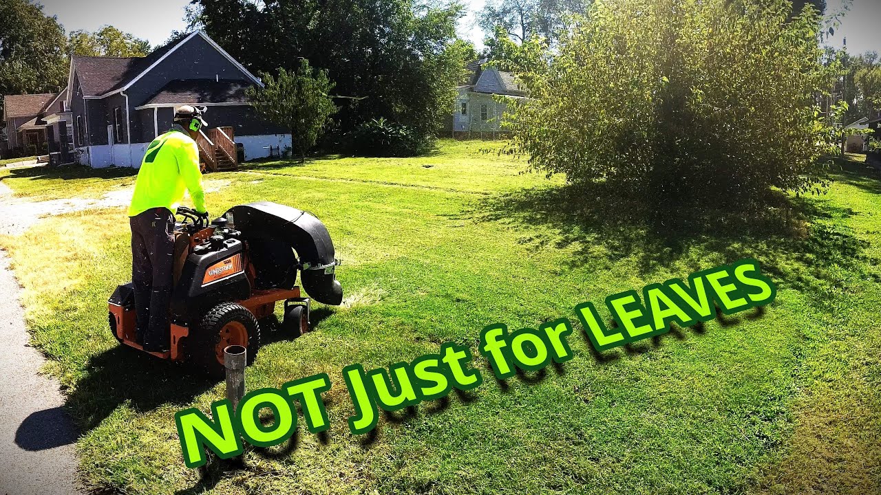 Mega Mower and Blower: How I transform overgrown lawns into neat and ...