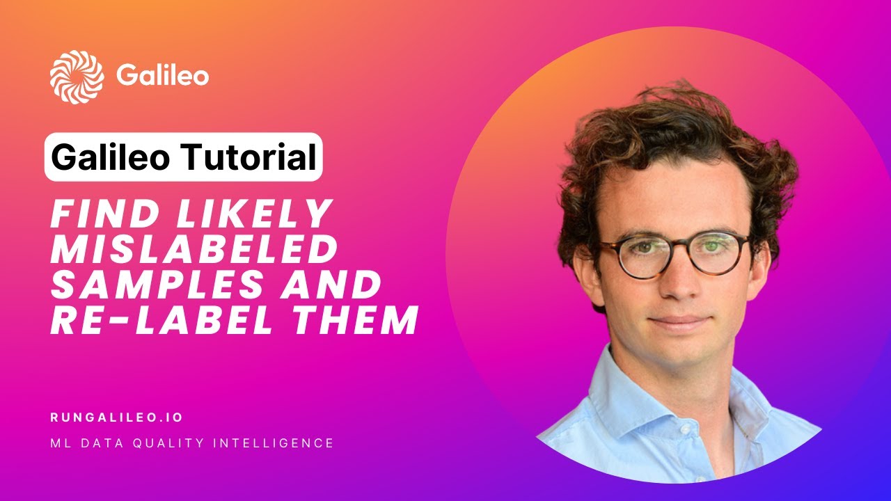 How to Find Likely Mislabeled Samples and Re-label Them in Galileo | ML ...