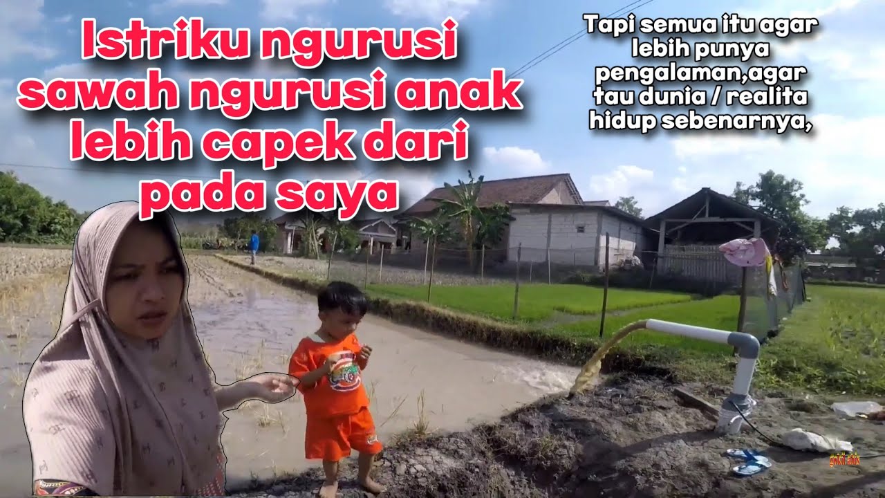 SUMUR SIBEL UDAH BISA DI GUNAKAN#MBANYU SAWAH - YouTube