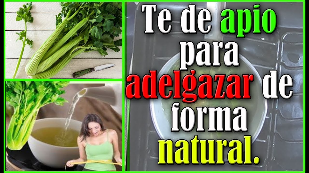 Te de apio para adelgazar de forma natural - YouTube