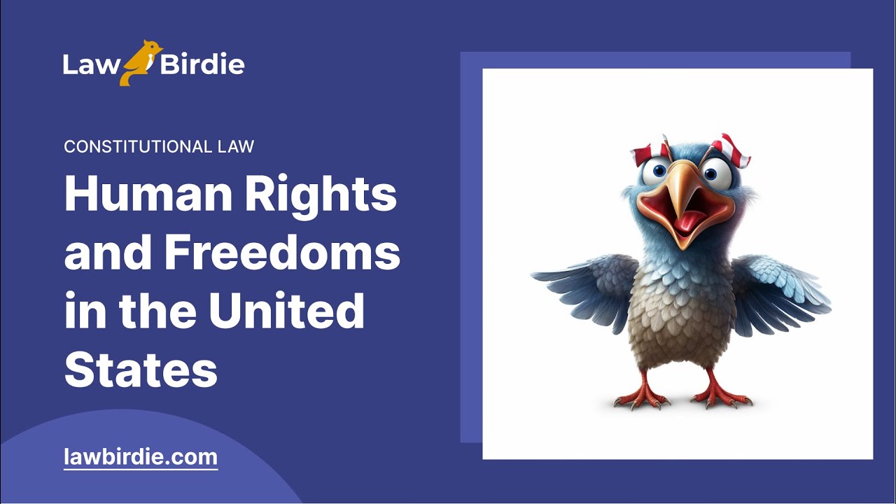 Human Rights and Freedoms in the United States - Essay Example - YouTube