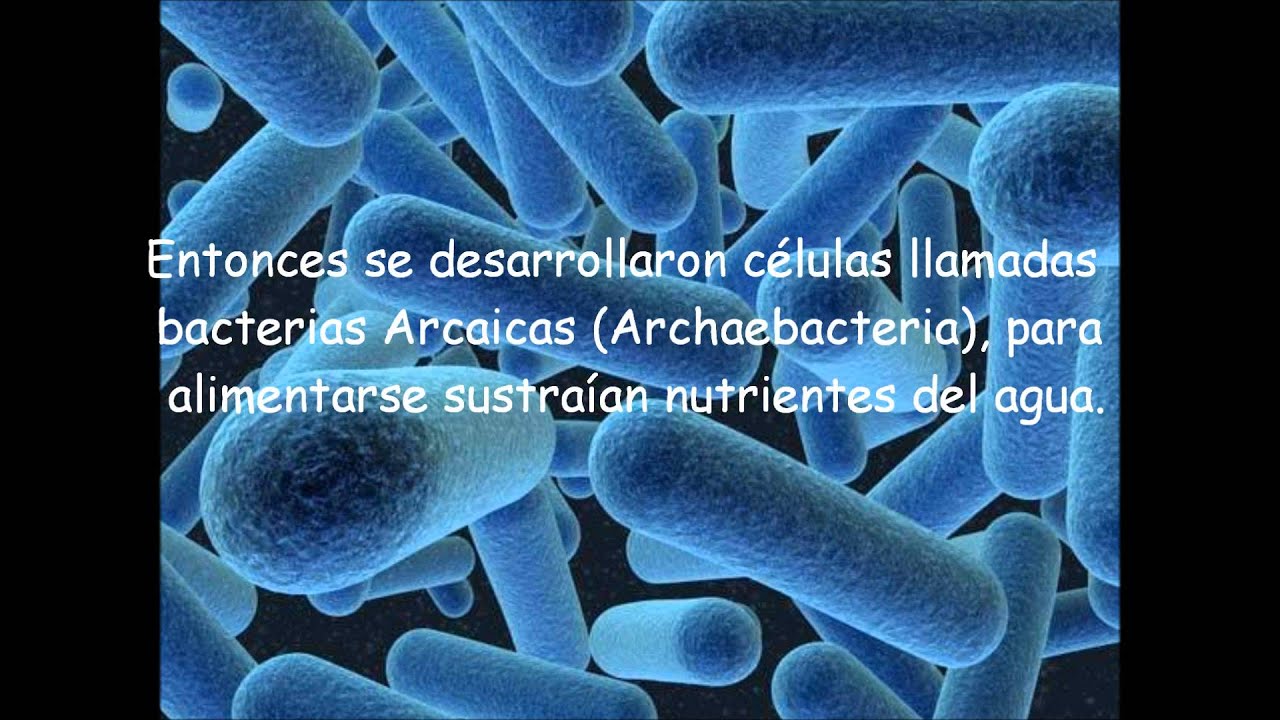 LA PRIMERA FORMA DE VIDA VIDEO - YouTube