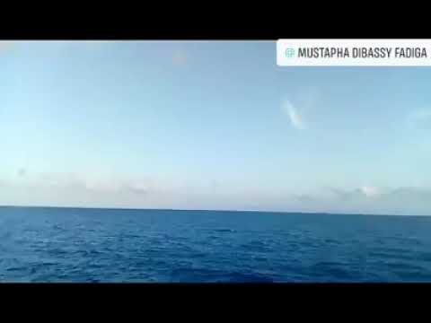Corona mandinka poem, mustapha Dibassy Fadiga.