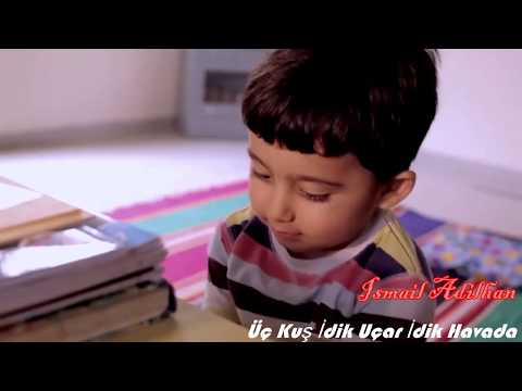 Üç Kuş İdik Uçar İdik Havada 2020 -  Ismail Adilhan  ( #DünyayıAğlatanKlip )