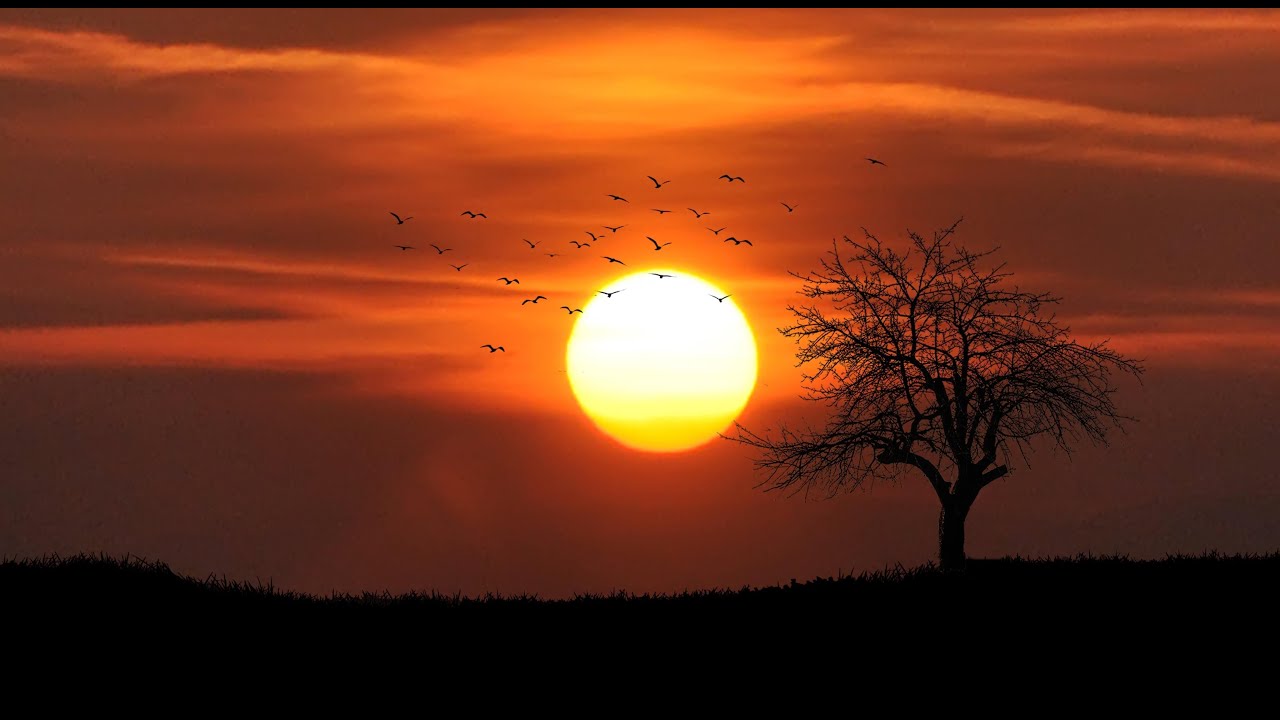 Sol da Pátria - Vídeo de Lançamento - YouTube