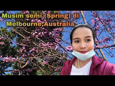 Musim Semi (Spring) di Melbourne,Australia - YouTube