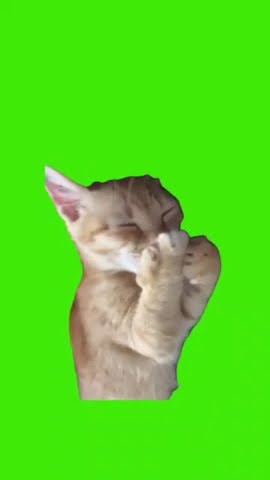 MENTAHAN MEME KUCING AKMAL AHAHAHA - YouTube