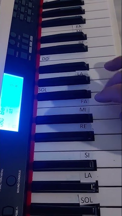 Banii n-aduc fericirea - tutorial incepatori- cantata cu pian electronic FUNKEY DP II 88. # ...