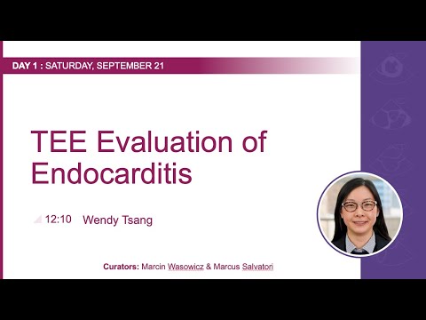 TPES 2024: Dr. Wendy Tsang "TEE evaluation of endocarditis" - YouTube