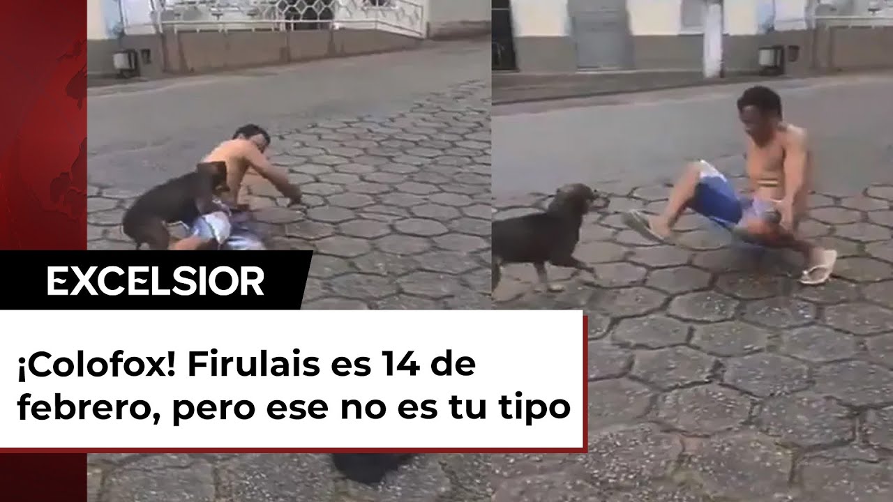 ¡Colofox! Firulais es 14 de febrero, pero ese no es tu tipo - YouTube