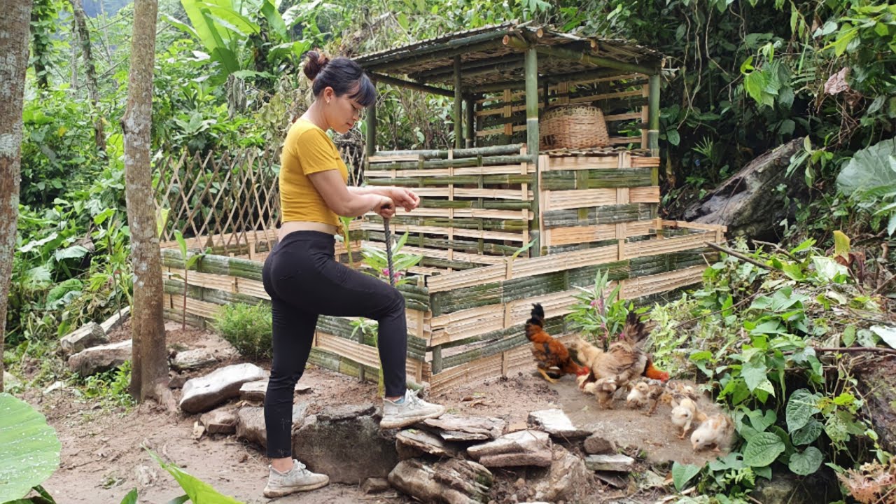 How To Build Bamboo House For Chicken 2021 Lý Thị Ca Ep62 Youtube