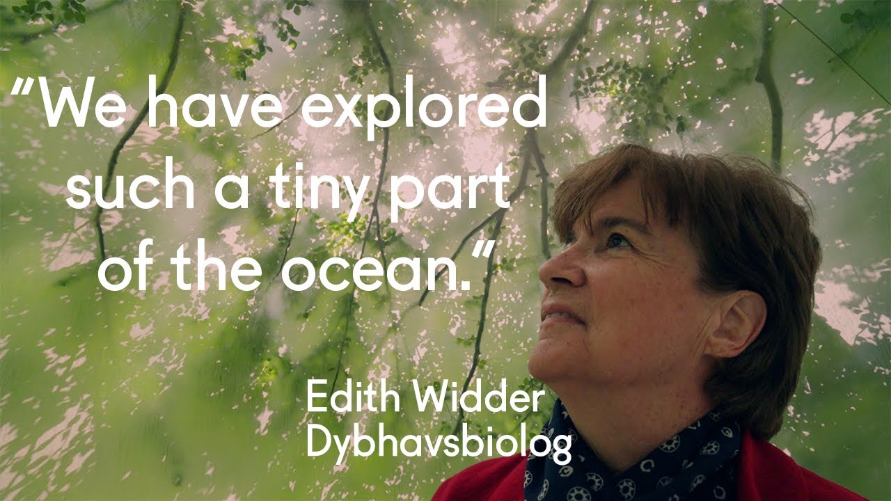 Below the Edge of Darkness – Edith Widder - YouTube