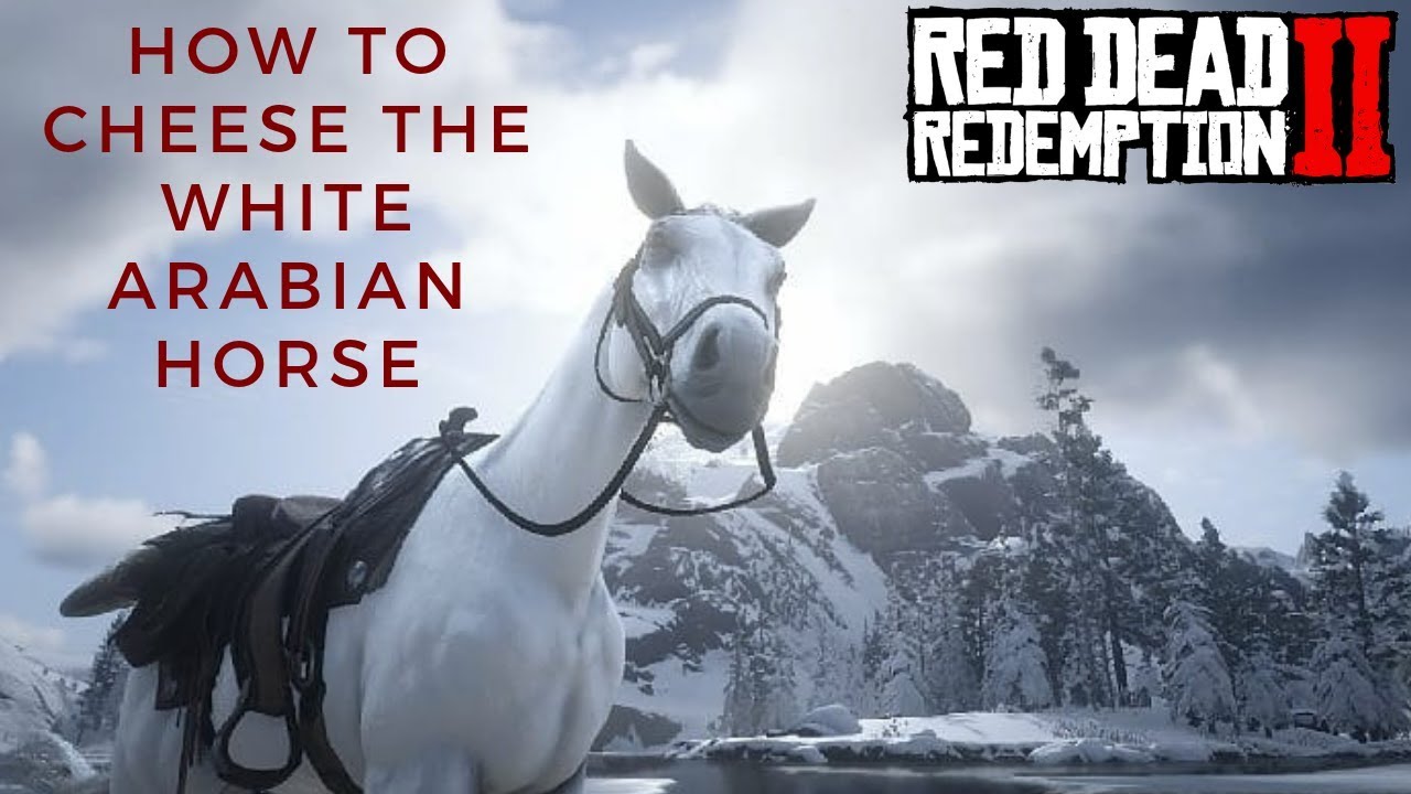 RED DEAD REDEMPTION 2 - HOW TO CHEESE THE WHITE ARABIAN HORSE - YouTube