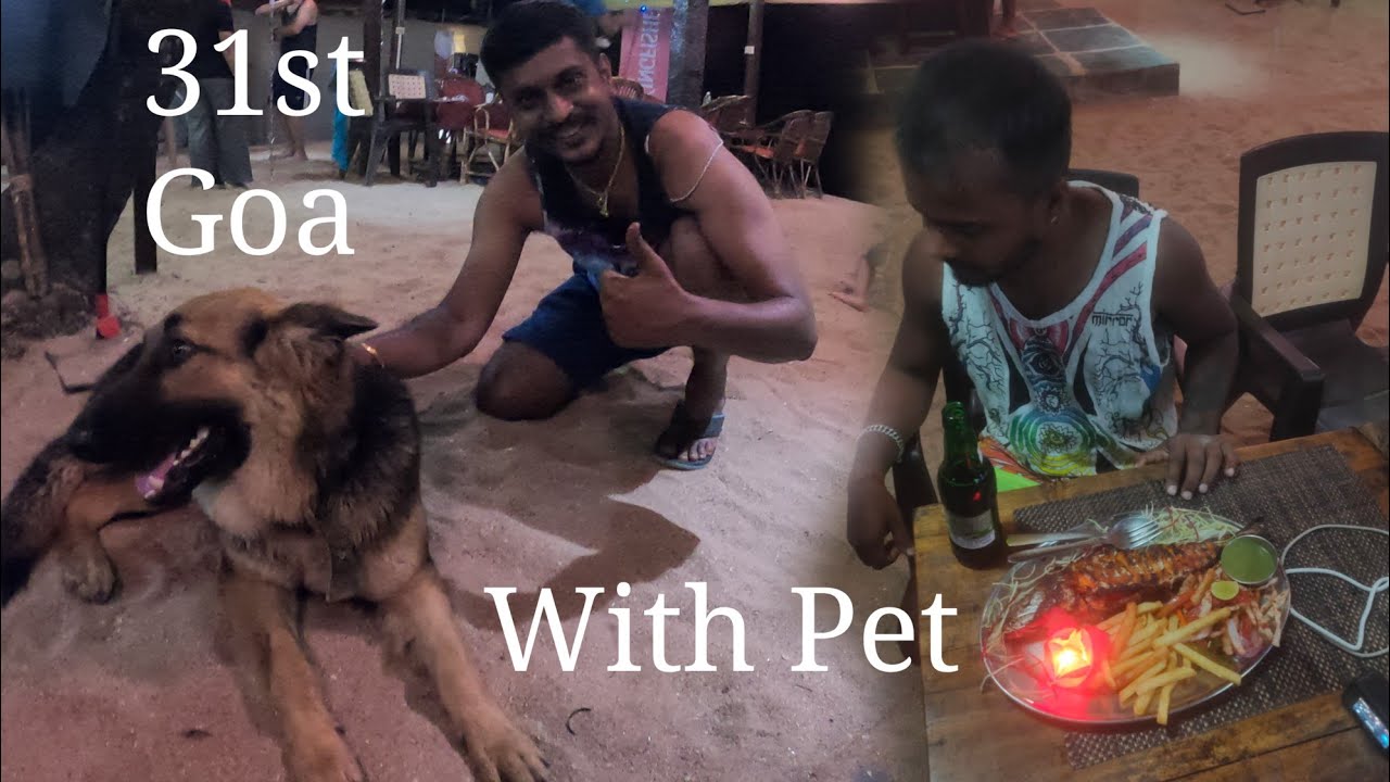 Goa 31st New Year party with my Pet | Travelling Whole World On Scooty ...