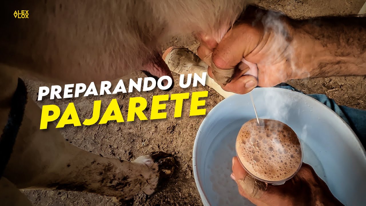 Pajaretes | Así Se Hacen | POV - YouTube