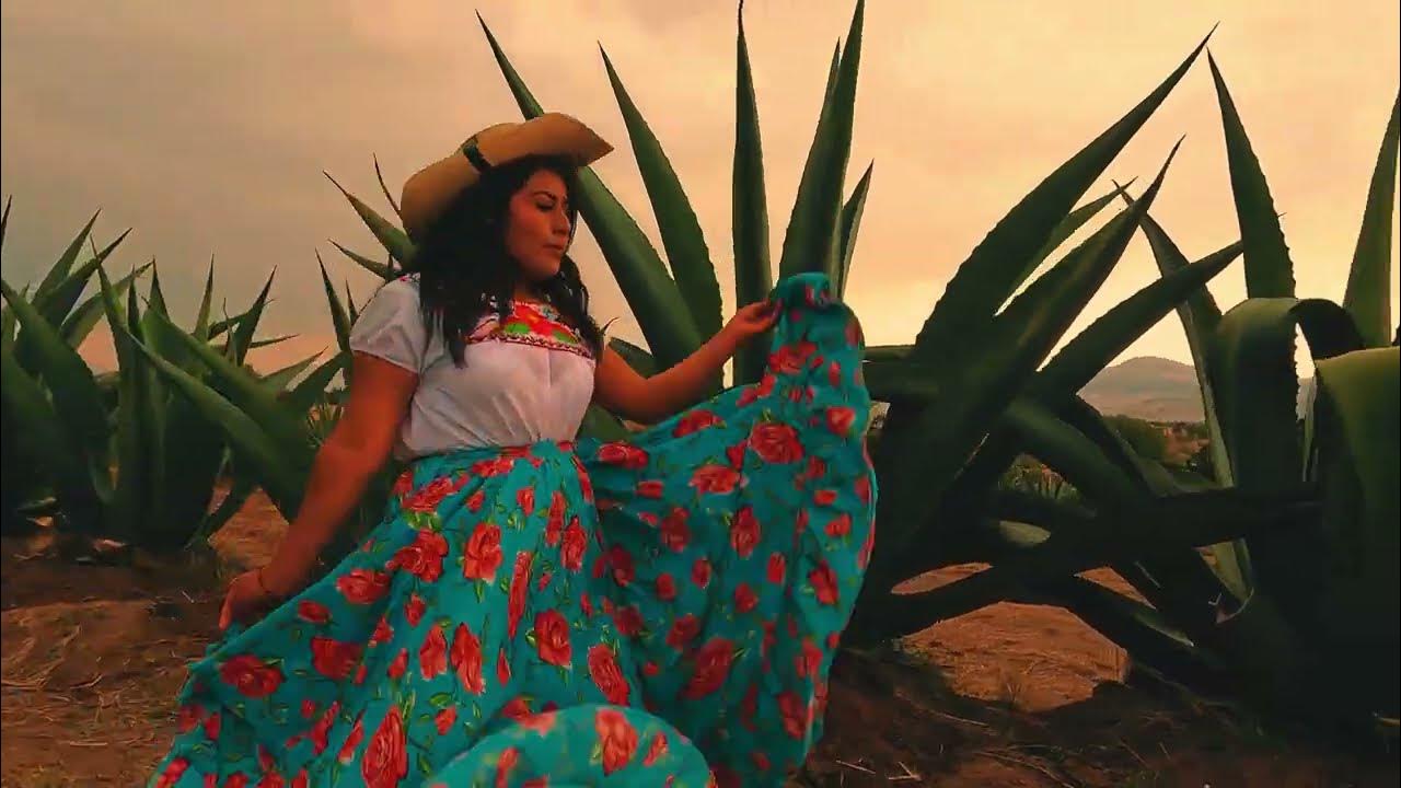 La Herencia de mi Abuelo - Chilenita Mixteca - Los Teños Musical DTC - Jaqui Hernandez - 😎👌 ...