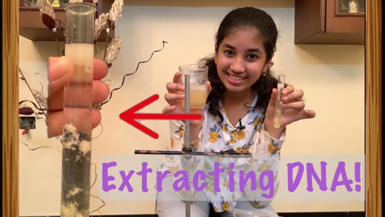 DNA extraction from BANANA | The Science Orb - YouTube