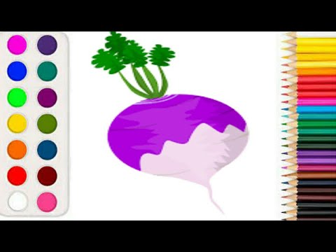 How to draw a turnip/Shaljam kaise banaye/Drawing Vegetables/Drawing ...