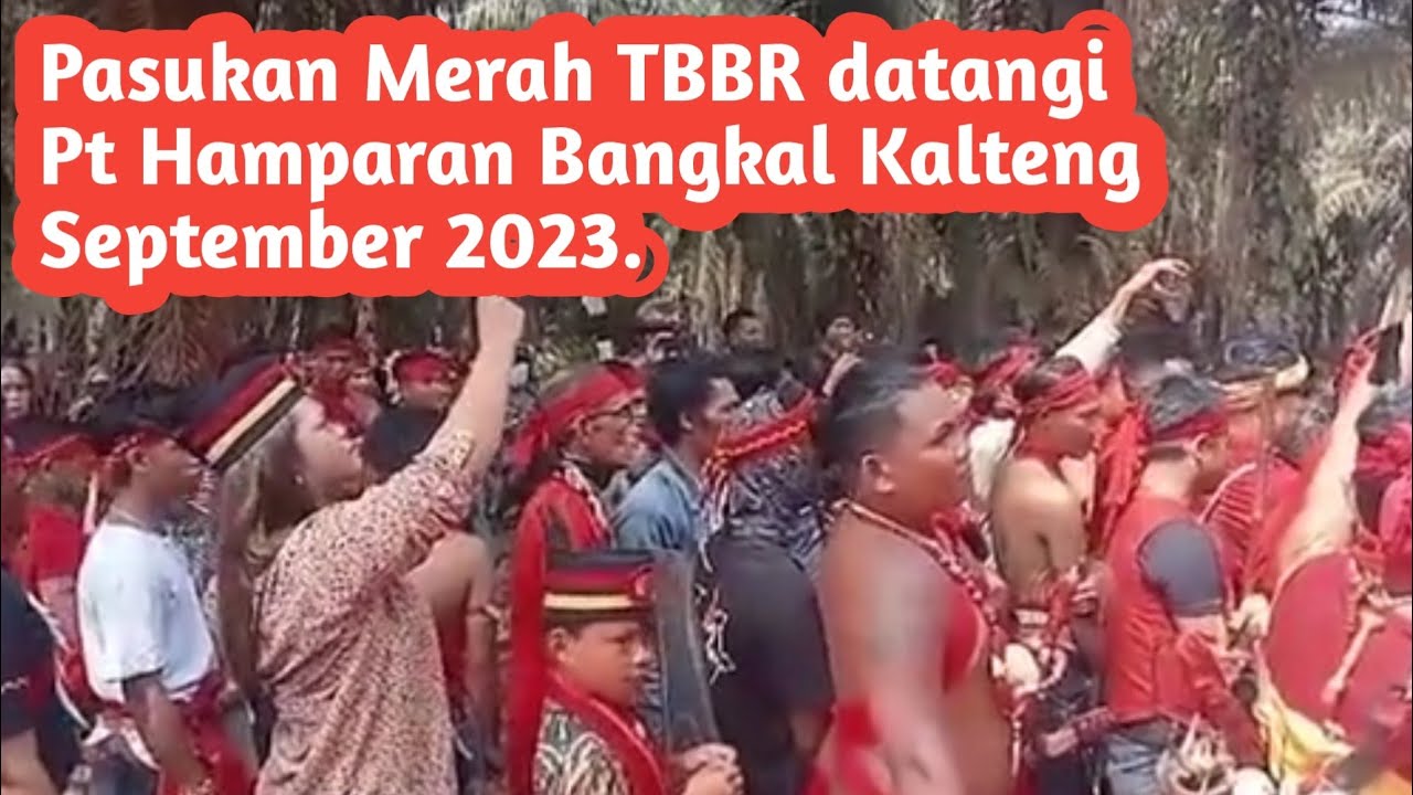 Pasukan Merah TBBR datangi Pt Hamparan Bangkal Kalteng - YouTube
