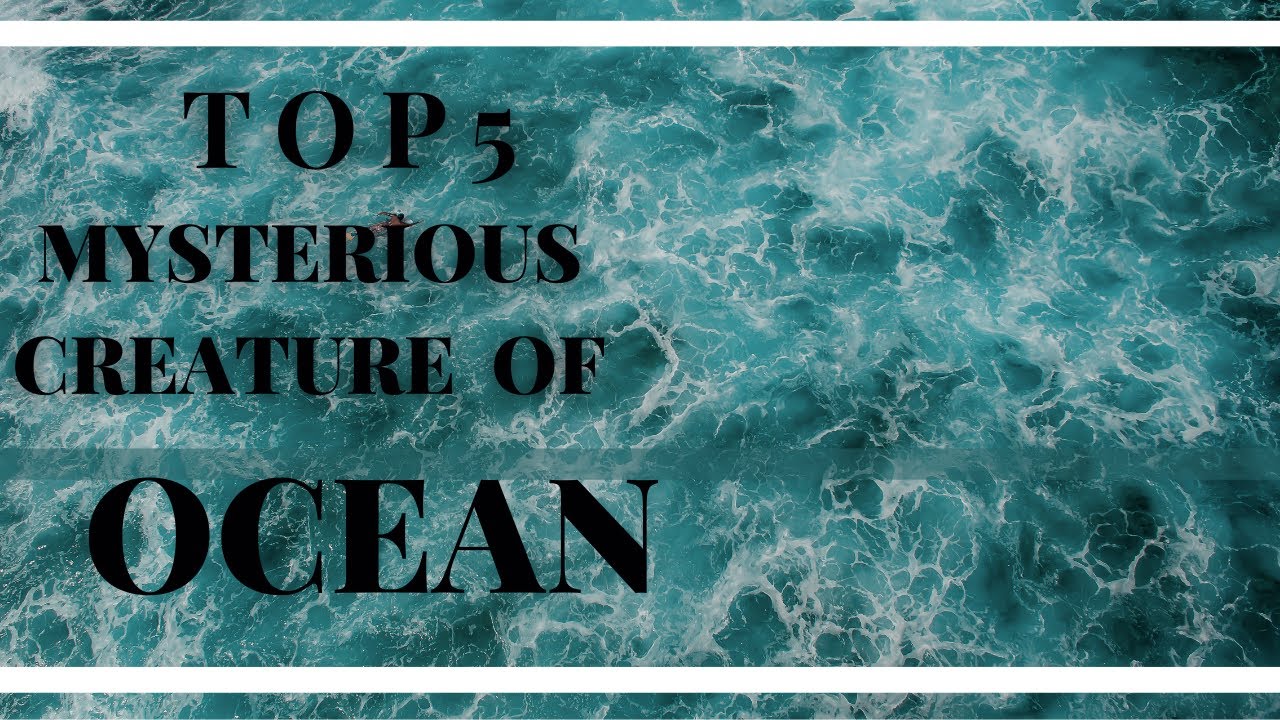 5 Mysterious Giant Creature in Deep Ocean - YouTube